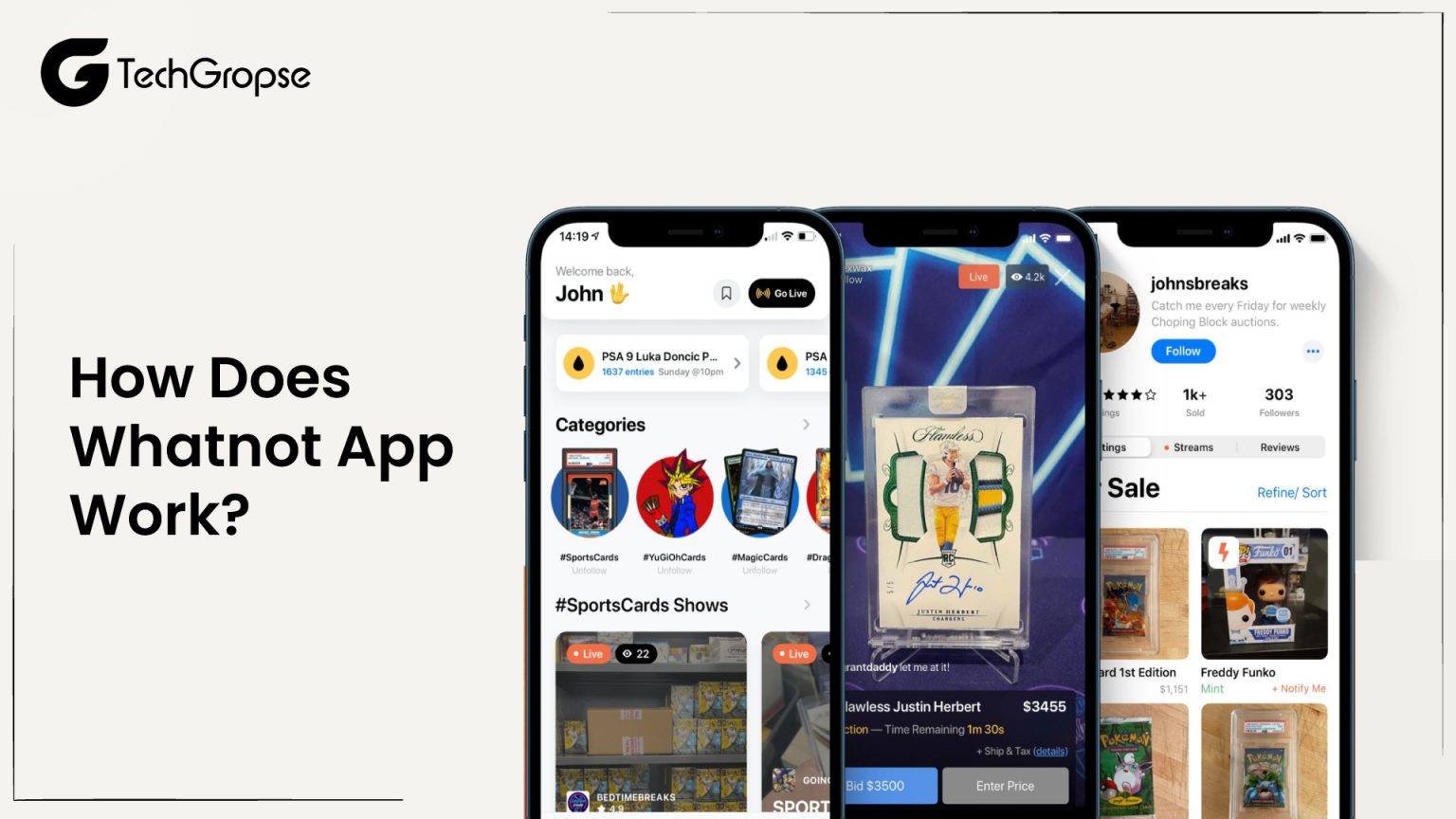 10 Steps to Build an App Like Whatnot